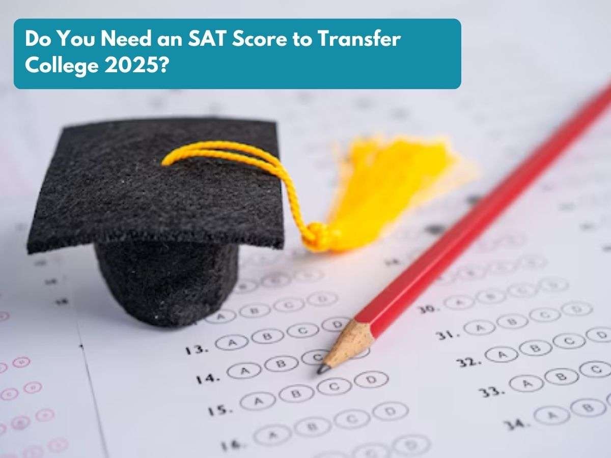 Do You Need an SAT Score to Transfer College? Full Guide - Rostrumedu