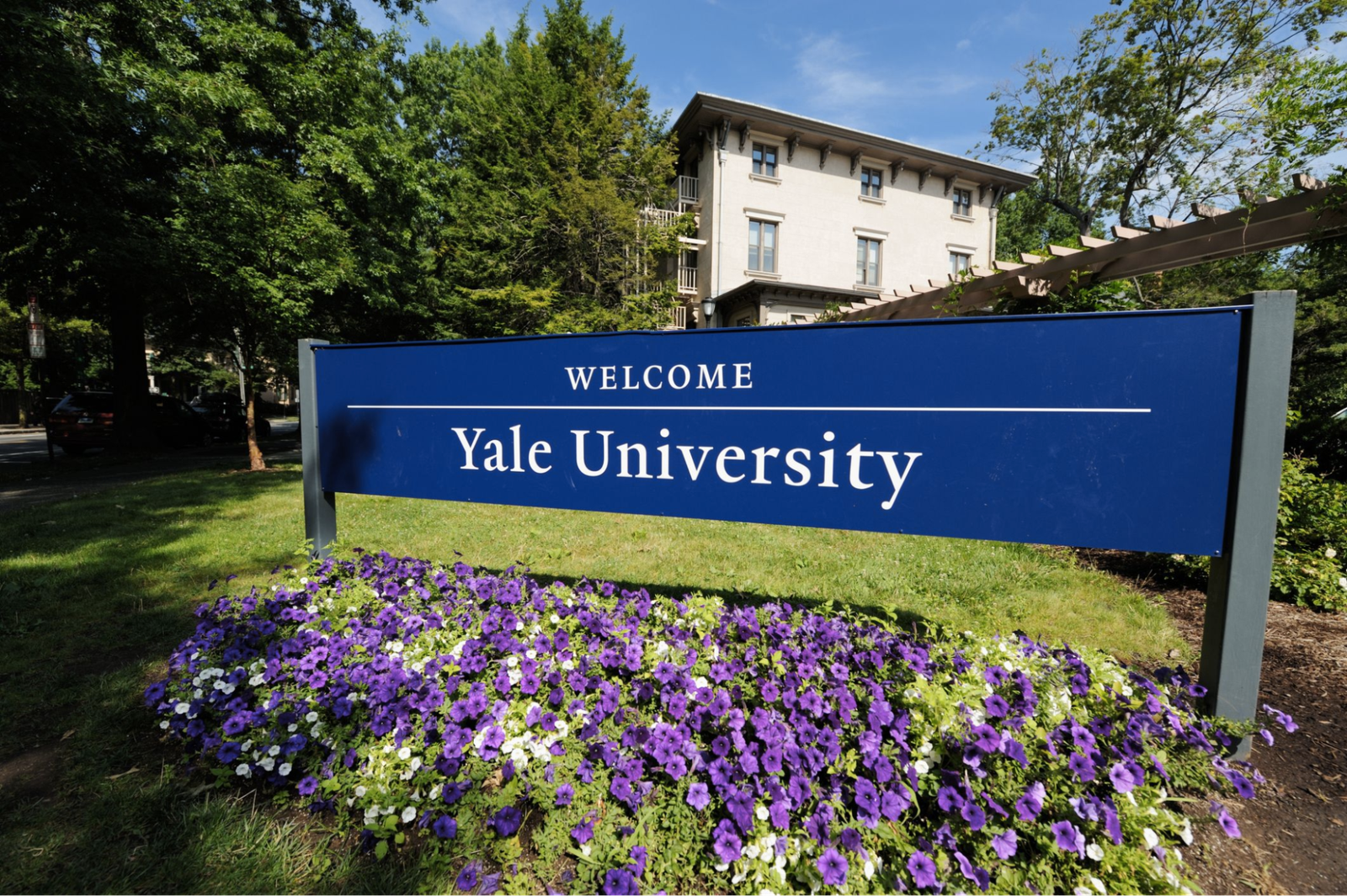 Top 5 primary components of a Yale application | Rostrum Education