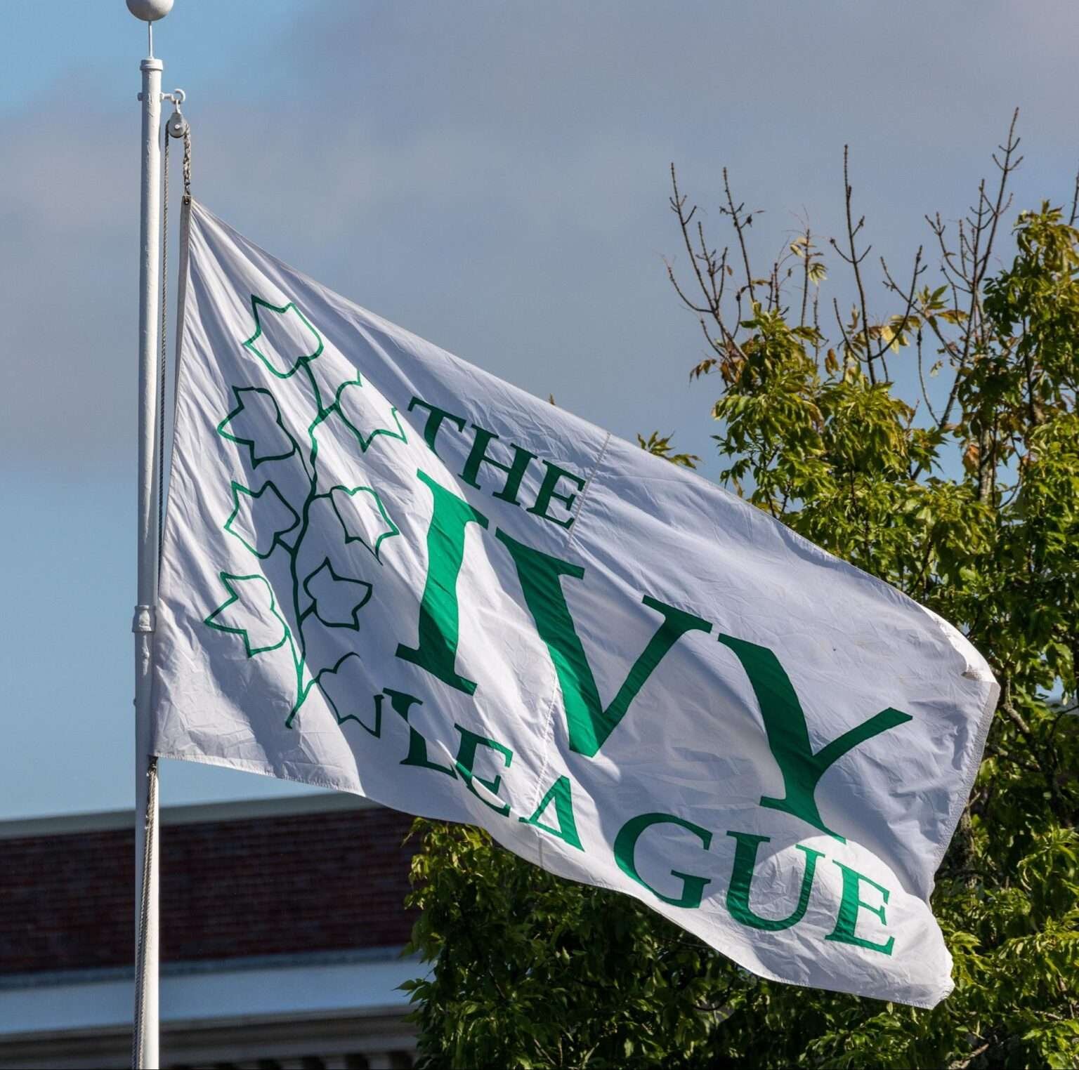 Know the Difference Between Ivy League and Ivy Plus Schools with ...